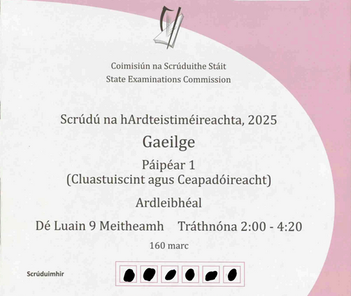 H1 Irish Paper 1 and Paper 2 Scripts – Leaving Cert Notes and Scripts